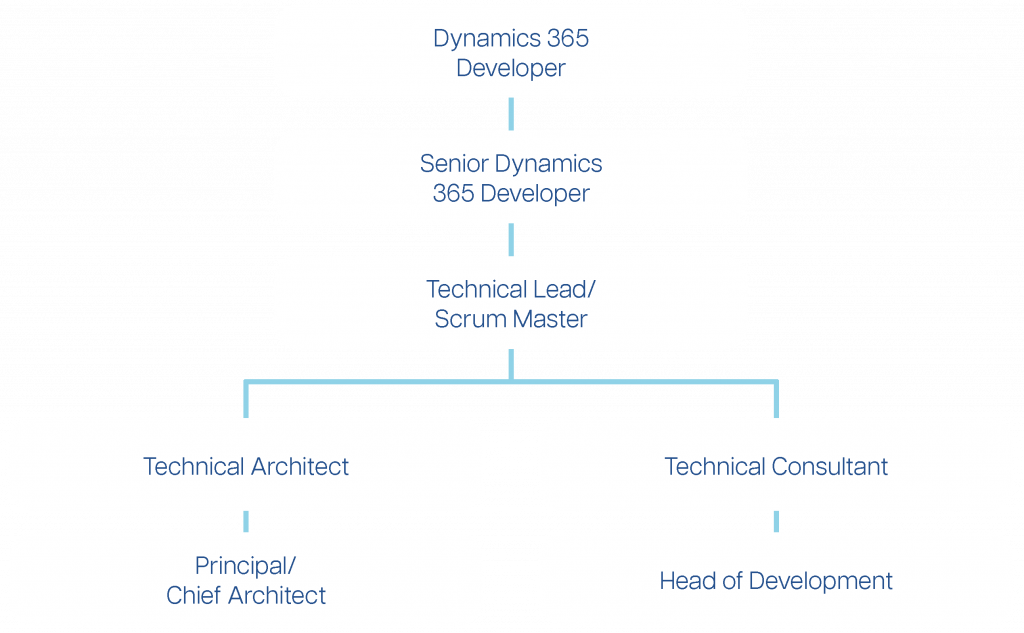 Microsoft Dynamics 365 Developer Career Spotlight | Nigel Frank Careers and Hiring Guide