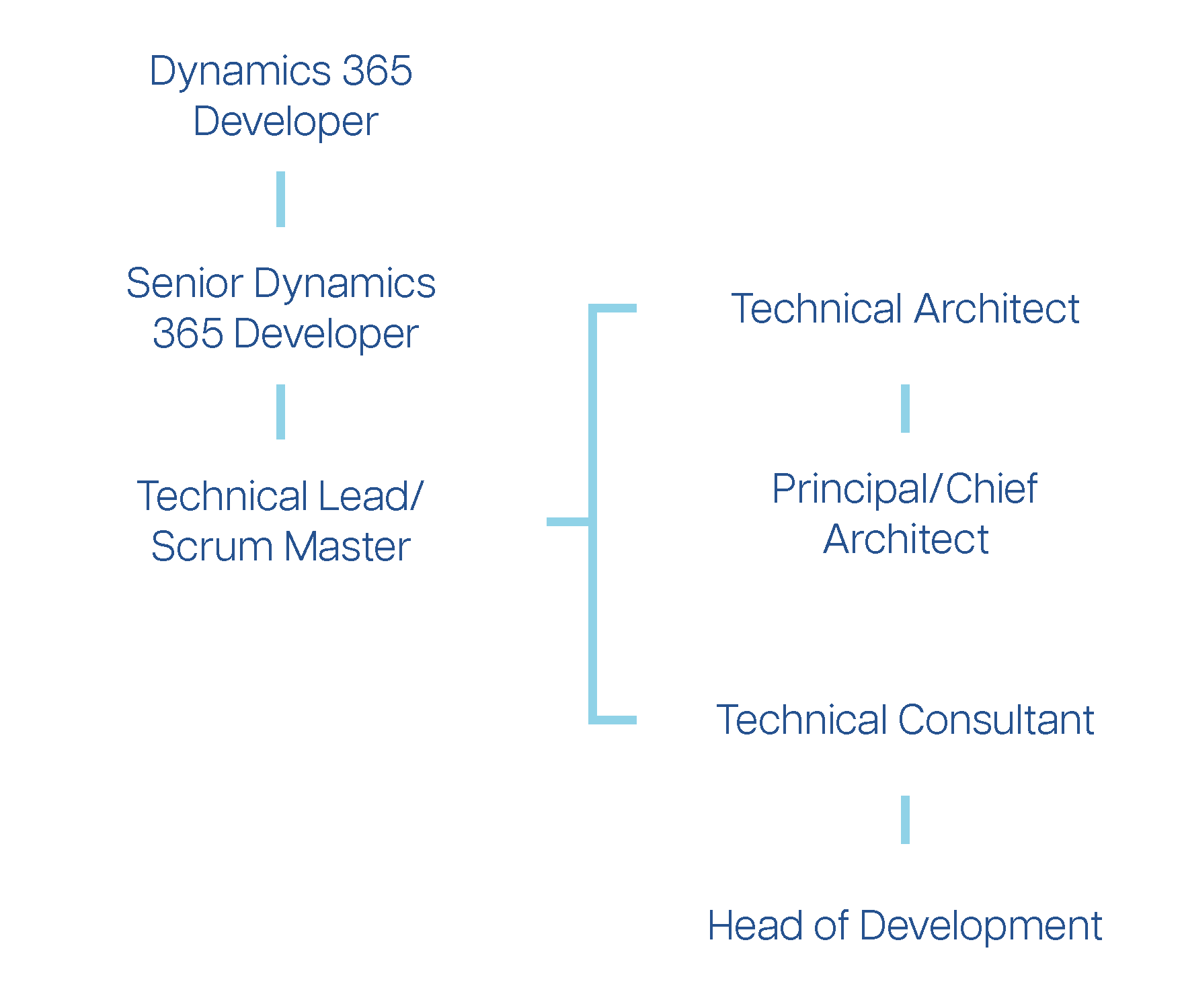 Microsoft Dynamics 365 Developer Career Spotlight | Nigel Frank Careers and Hiring Guide