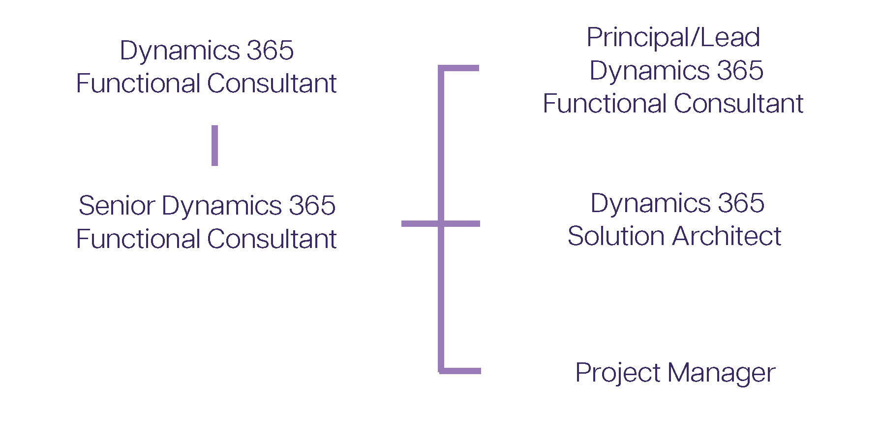 Microsoft Dynamics 365 Functional Consultant Career Spotlight | Nigel Frank Careers and Hiring Guide